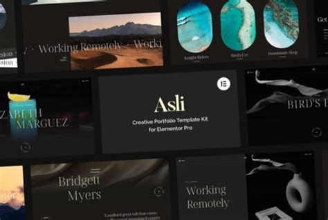 Asli Creative Portfolio Elementor Pro Template Kit