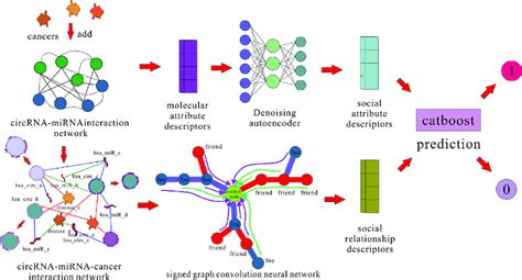 The Flowchart Of Ks Cmi Download Scientific Diagram
