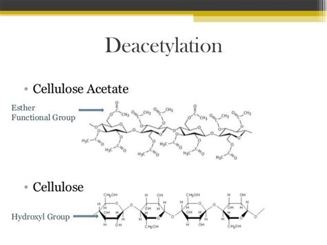 Preparation And Characterization Cellulose Draft Final Final