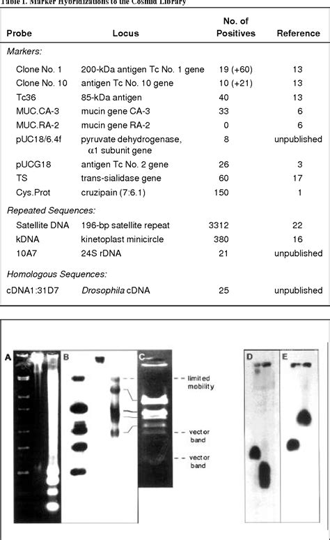 Table 1 From Research Repo R Ts Semantic Scholar