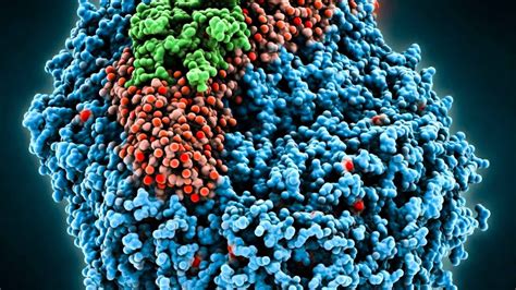 Ai Powered Drug Discovery Unlocking The Secrets Of Ligand Receptor Binding