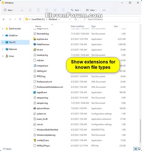 show or hide file name extensions for known file types in windows 11