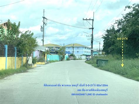 ขายที่ดิน 5 0 21ไร่ หนองตำลึง พานทอง ชลบุรี ที่ดินหน้ากว้าง 60เมตร