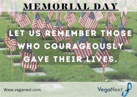 Veganext Posted On Linkedin