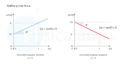 Gráficas Del Movimiento Circular Uniforme M C U