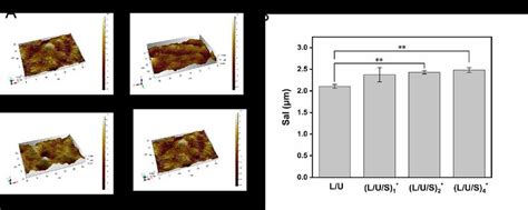 A Three Dimensional Surface Height Pattern Diagram Of Electrospun Download Scientific Diagram