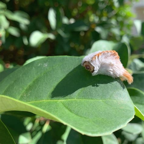 Finally A Sub Where This Guy Belongs He Didnt Get Much Love On Raww Nor On R