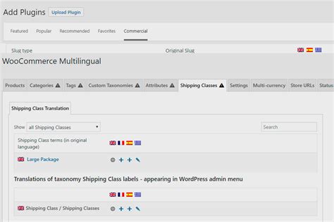 WPML Review 2025 Features Peculiarities