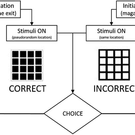 Schematic Of Trials Used For Visual Discrimination And Reversal