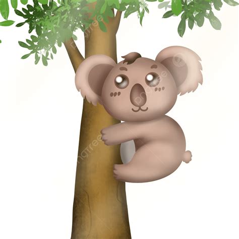 Cute Koala Png Transparent Cute Koala And Nature Koala Nature Tree