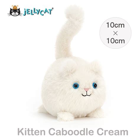 【楽天市場】jellycat ジェリーキャット ねこ Cat ネコ 猫 しろ 白 青い目 ブルーアイ 青目 ホワイト 白猫 白い猫 正規輸入品 Caboodle 子猫 ぬいぐるみ 柔らかい