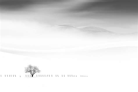 Mostafa Nodeh Photographer All About Photo