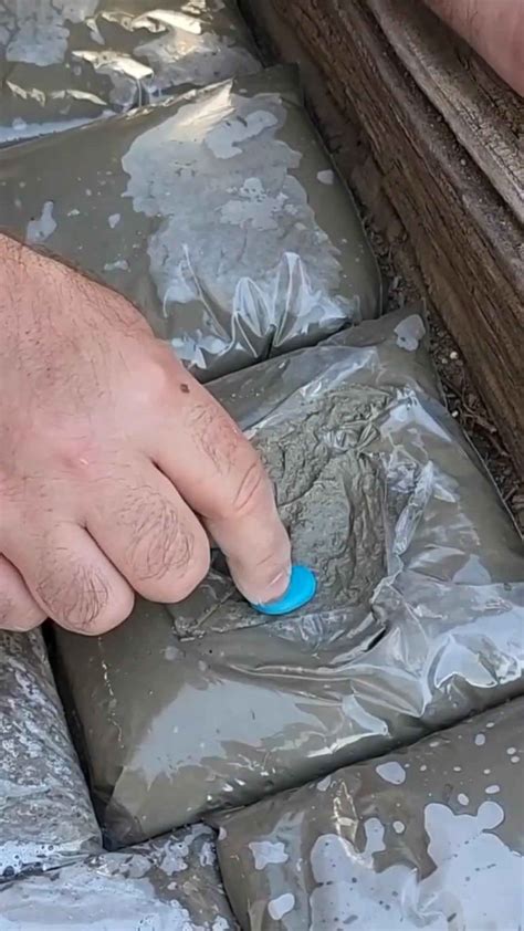 Lay Ziplock Bags Of Cement In Your Backyard… 😱