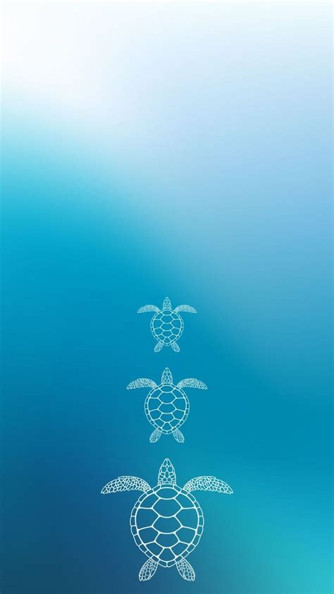 Stunning Turtle Wallpaper Dive Into Coastal Paradise