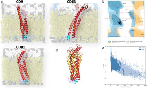 Ab Initio Modelling Of Tetraspanins Cd9 Cd63 And Cd81 A