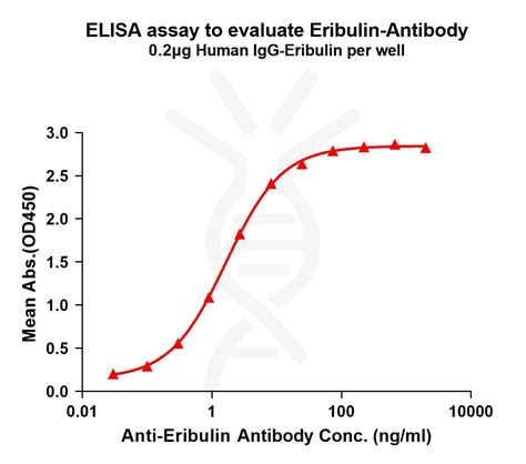 Anti Eribulin Antibody2e4 Rabbit Mab 专注肿瘤免疫