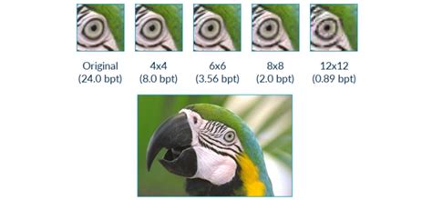 New Astc Guide Released By Arm