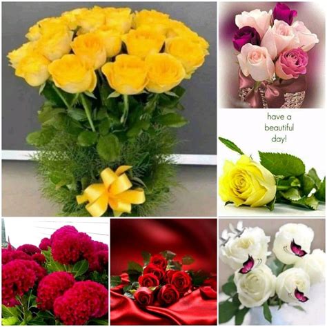 Tabrez Khan Posted On Linkedin