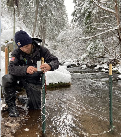 Seeed Fusion Pcb Assembly 7 営業日からの迅速なターンキー Pcba サービス