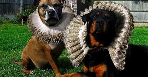 Power Couple Imgur Power Couple Imgur