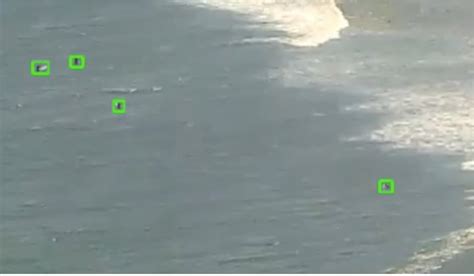 Real Time Computer Vision Application Utilizing Live Cams