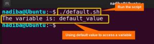 How Unbound Variable Error Occurs In Bash Cases Solutions LinuxSimply