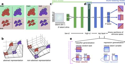 Neurociencia La Abstracción Cognitiva Ineurociencias