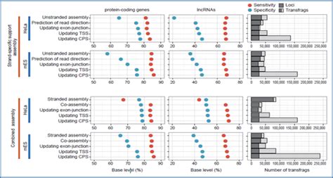 CafÉ Assembling High Confidence Coding And Noncoding Transcriptome