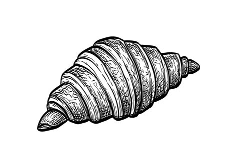 Croissant French Pastry Hand Drawn Vector Illustration