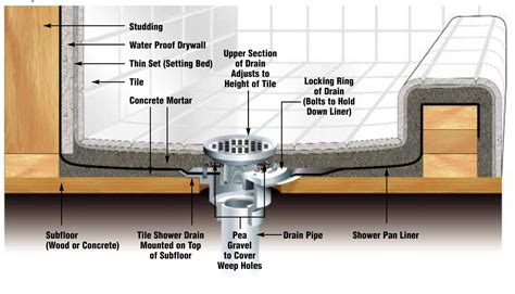 Shower Pan Drain Artofit