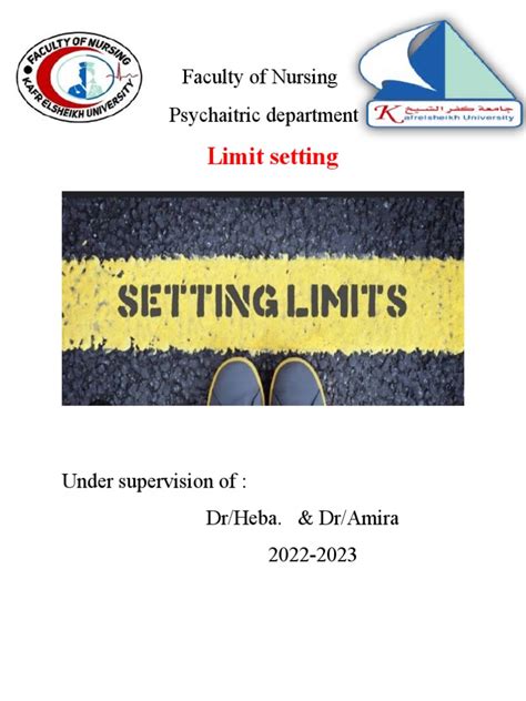 Limit Setting Pdf Behavior Nursing
