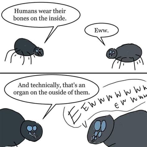 Your Epidermis Is Showing Meme By Sketchdoes Memedroid