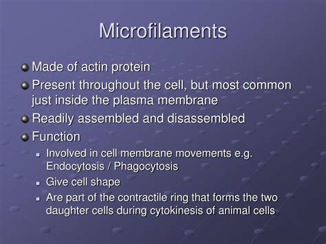 Ppt Structure And Function Of Cell Components Powerpoint Presentation Id262343