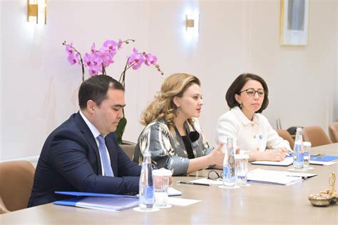 Saida Mirziyoyeva Discusses With Unfpa Representative National Health