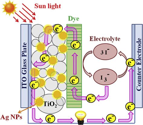 Schematic Diagram Of The Ag Nps Mixed Tio 2 Coated Photoanode Download Scientific Diagram