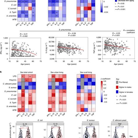 Impact Of Age And Sex On Cytokine Production Capacity A Heat Maps