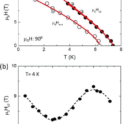 Vladimir Fomin Research Professor Prof Dr Leibniz Institute For Solid State And