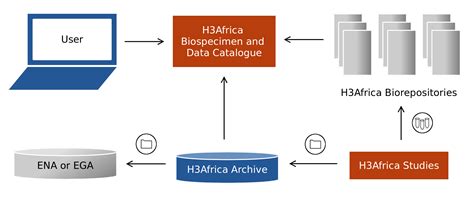 Contents H Africa Data Biospecimen Catalogue