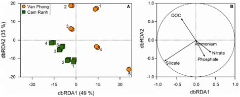 Distance Based Redundancy Analysis Dbrda Assessing Relationships