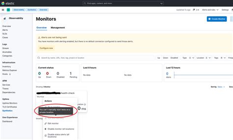 elastic synthetic error you can t manually starts test on a private