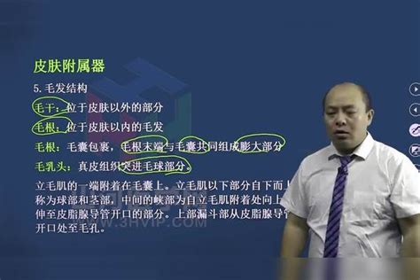 27皮肤性病学高级职称考试 冲刺课：皮肤附属器一山河医学网