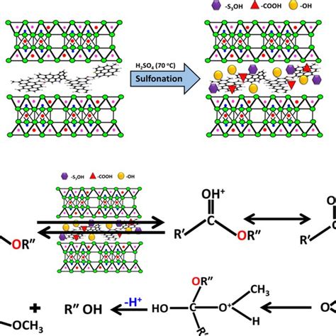 Schematic Diagram For The Formation Mechanism Of The S CB Acidic Download Scientific Diagram