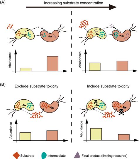 Hypothesis For How Substrate Concentration And Toxicity Govern The