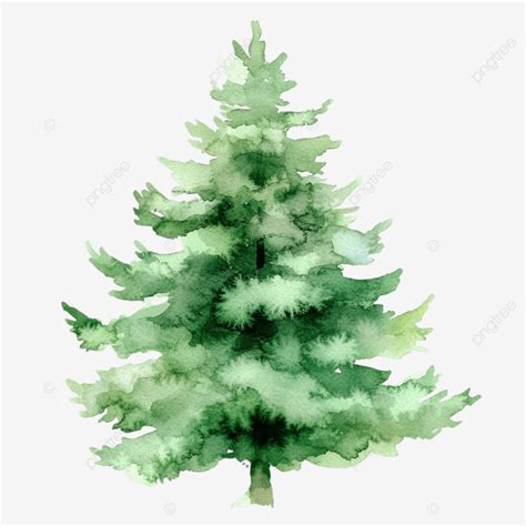 녹색 수채화 크리스마스 트리 장식 휴일 장식 초록 수채화 Png 일러스트 및 이미지 에 대한 무료 다운로드 Pngtree