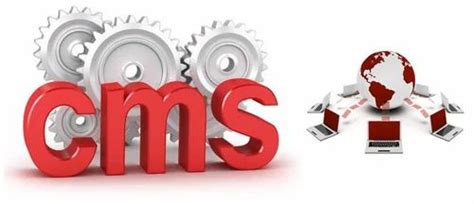 CMS Website Design In New Delhi Palam Colony By Web Dunia Guru ID 6806627791