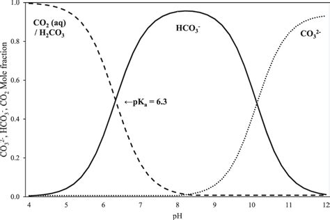 CaCO3 solubility in the process water of recycled containerboard mills