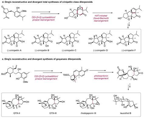 Deconstructive And Divergent Synthesis Of Bioactive Natural Products