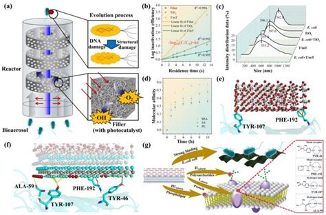Photocatalytic Performance And Image Eurekalert Science News Releases
