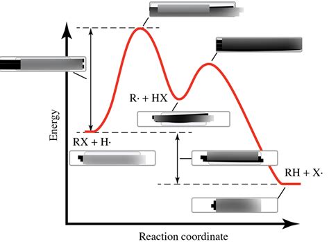 Chapter Kinetics Diagram Quizlet