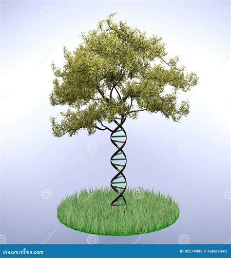 Dna Shaped Tree Trunk Stock Illustration Illustration Of Concept